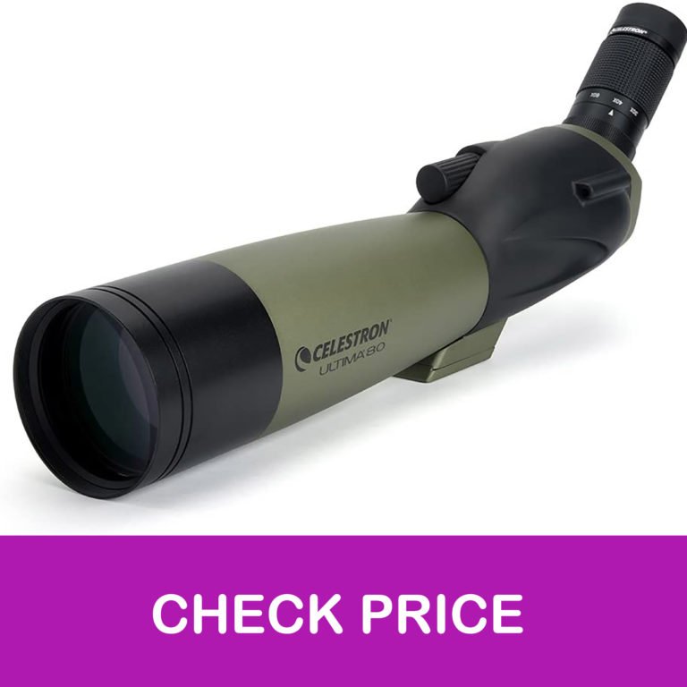 11 Best Monocular for Bird Watching in 2021 【Reviewed】 - DopeGuides