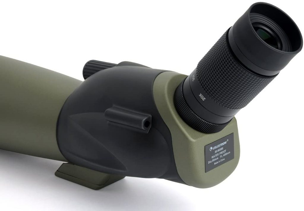 11 Best Monocular for Bird Watching in 2021 【Reviewed】 - DopeGuides