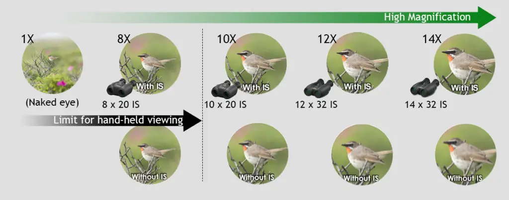 Binoculars 10x50 vs 20x50 | Which is Better?【Comparison】